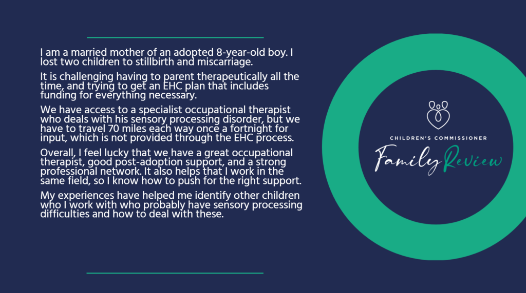 Family Review: Family Profiles adoption | Children's Commissioner for ...