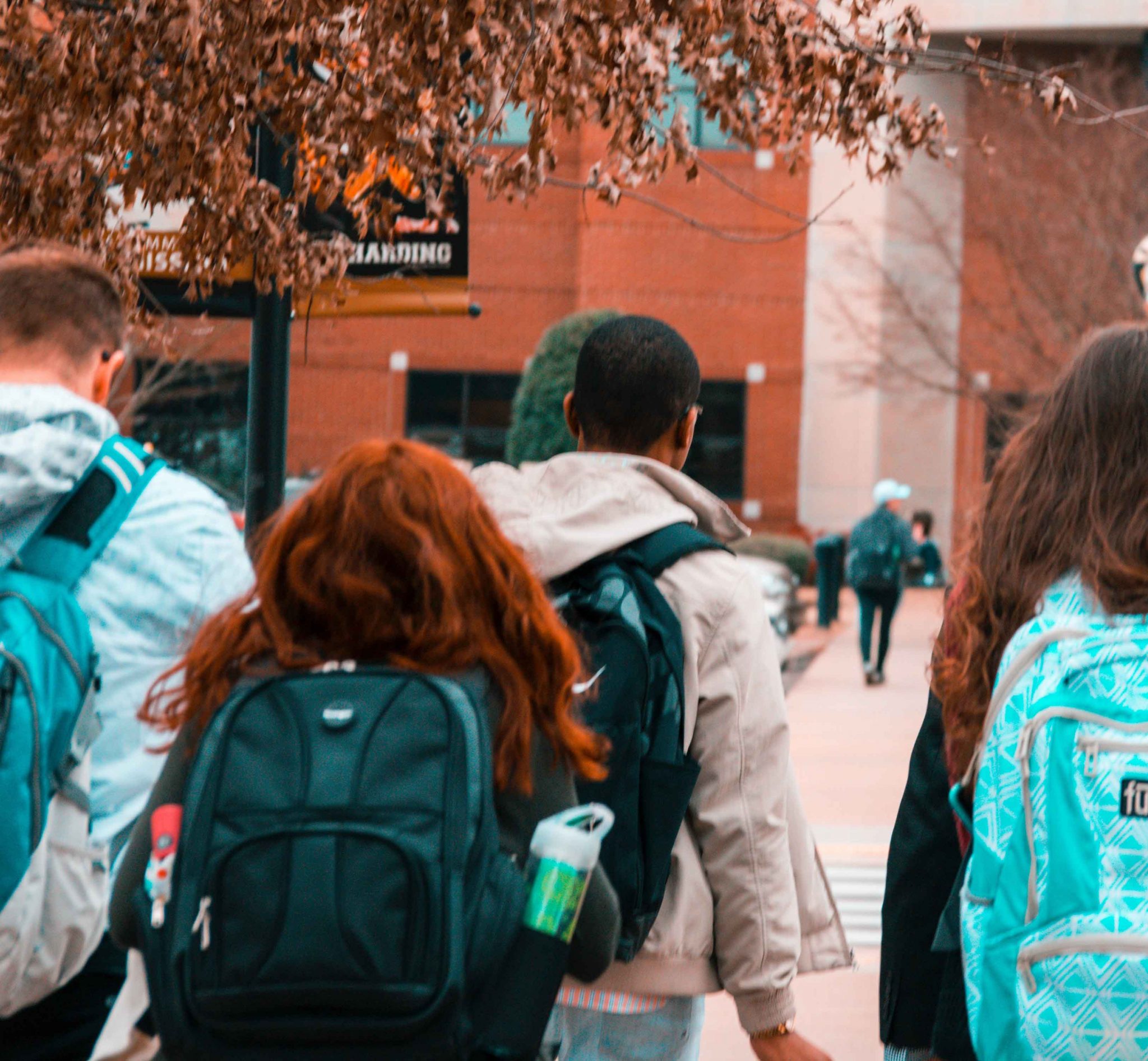 Practical guide to starting university - IMO